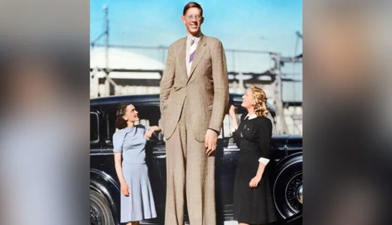 Tallest Person in the World 2025: List of Tallest People, Height How ...